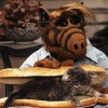 ALF - Do You Remember?
