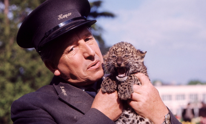 Animal Magic - Do You Remember?